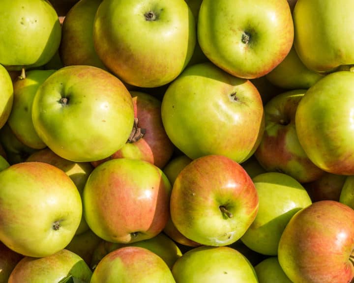 What is in Season in October? Autumn Produce Guide - A Recipe For Fun