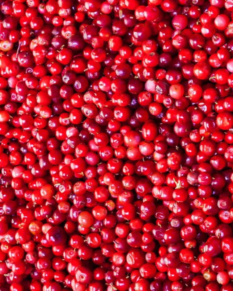 What is in Season in November? Autumn Produce Guide - A Recipe For Fun