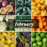 What is in Season in February? Winter Produce Guide - A Recipe For Fun
