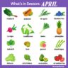 What is in Season in April? Spring Produce Guide - A Recipe For Fun