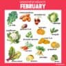What is in Season in February? Winter Produce Guide - A Recipe For Fun