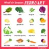 What is in Season in February? - A Recipe For Fun