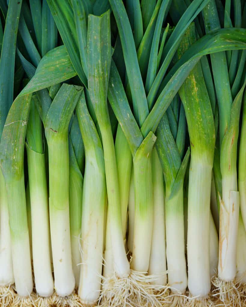 What is in Season in March? Spring Produce Guide - A Recipe For Fun