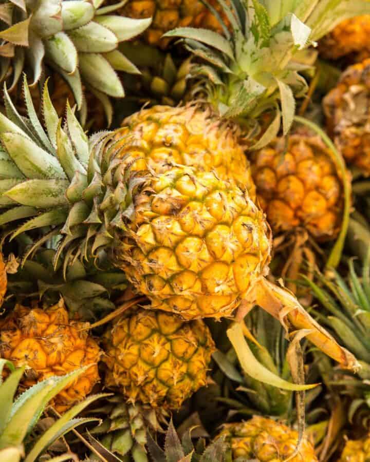 What is in Season in April? Spring Produce Guide - A Recipe For Fun