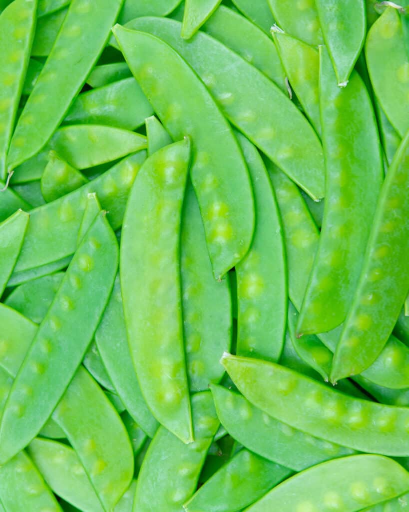 What is in Season in May? - A Recipe For Fun