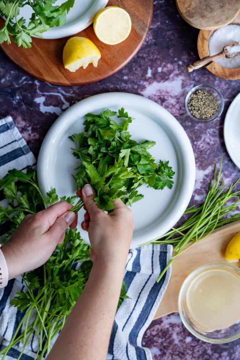 Parsley Vinaigrette Salad Dressing (with Fresh Herbs) - A Recipe For Fun