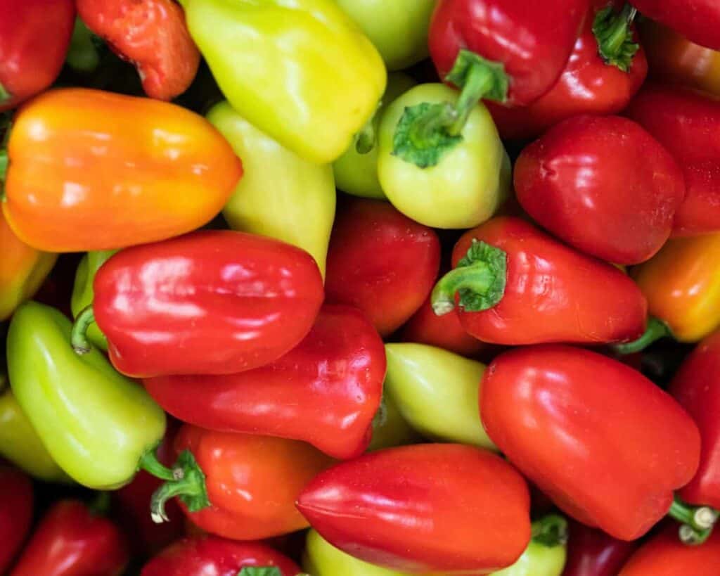 What is in Season in July? Summer Produce Guide - A Recipe For Fun