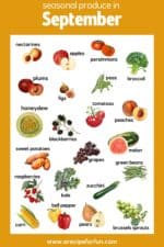 What is in Season in September? Autumn Produce Guide - A Recipe For Fun