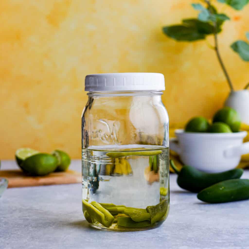 How to Make Infused Liquor (Infused Liquor Recipes) - A Recipe For Fun