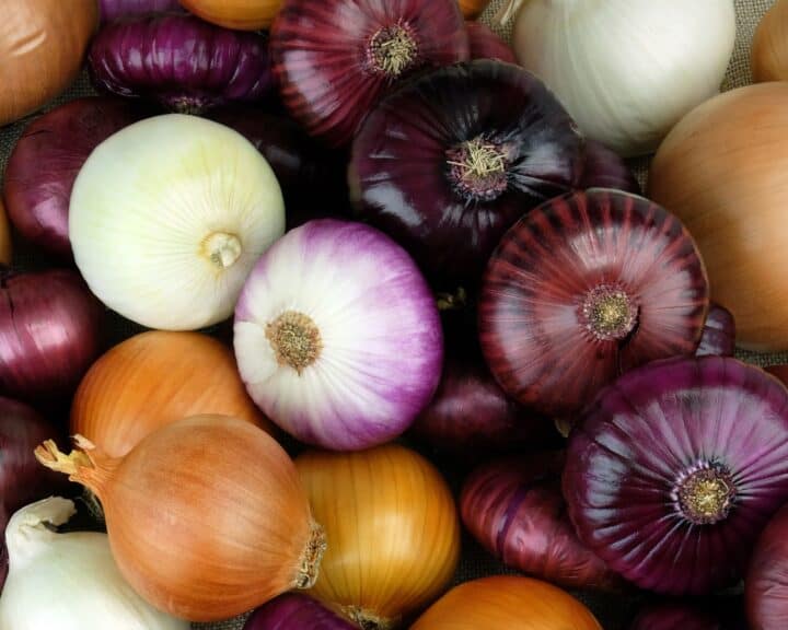 What is in Season in September? Autumn Produce Guide - A Recipe For Fun