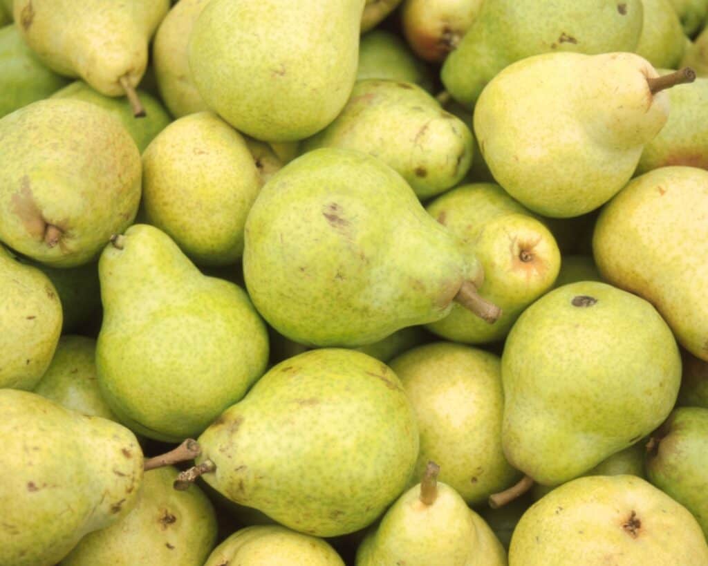 What is in Season in September? Autumn Produce Guide - A Recipe For Fun