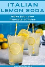 Italian Lemon Soda (Limonata) - A Recipe For Fun