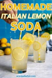 Italian Lemon Soda (Limonata) - A Recipe For Fun