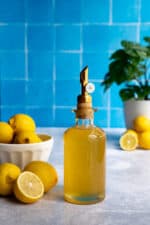 Lemon Simple Syrup (with Fresh Lemon Juice and Zest) - A Recipe For Fun