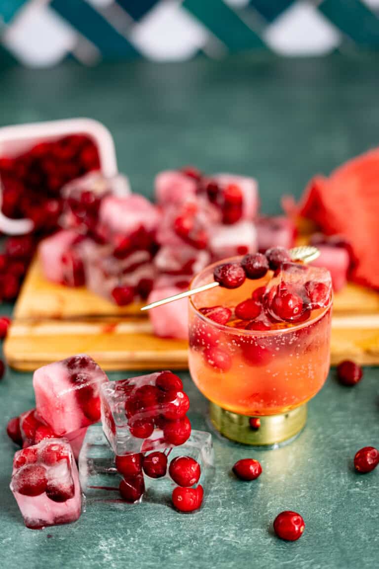 Cranberry Ice Cubes - A Recipe For Fun