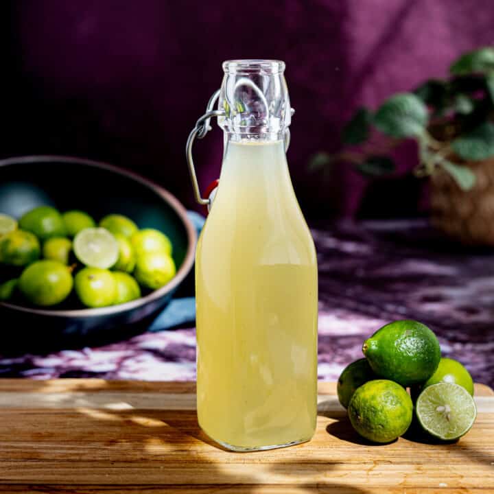 Homemade Kiwi Simple Syrup (with Real Kiwi Fruit) - A Recipe For Fun