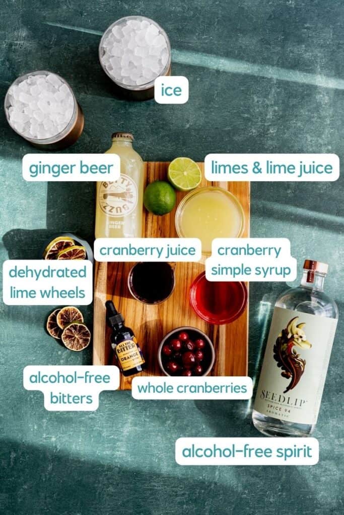 Cranberry Mule Mocktail (Non-Alcoholic Holiday Drink) - A Recipe For Fun