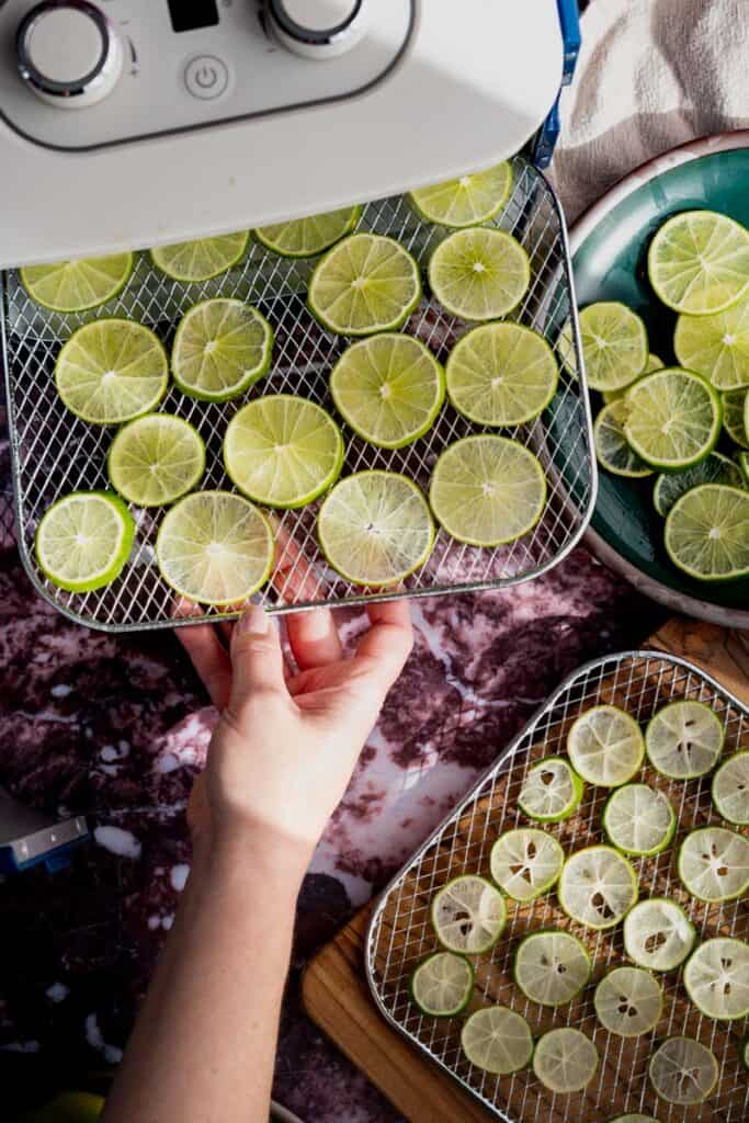 How to Make Dehydrated Lime Wheels (Dehydrator or Oven) - A Recipe For Fun