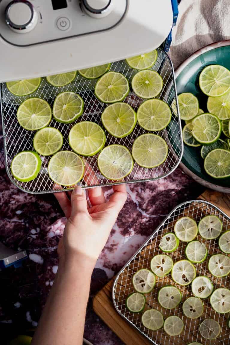 How to Make Dehydrated Lime Wheels (Dehydrator or Oven) - A Recipe For Fun