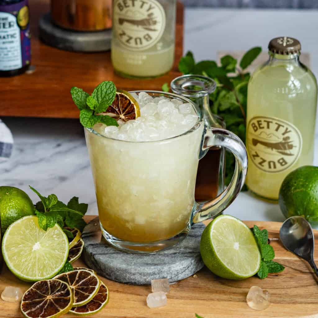 Moscow Mule Mocktail (Alcohol Free Virgin Moscow Mule) - A Recipe For Fun