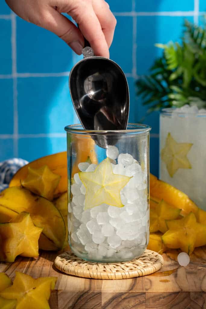 Homemade Starfruit Soda (Carambola Soda Recipe) - A Recipe For Fun