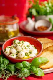 Italian Olive Oil and Fresh Herb Marinated Mozzarella Balls