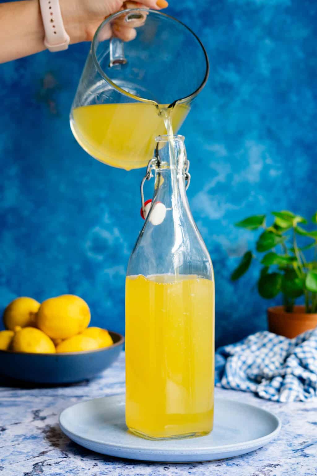 Homemade Italian Limoncello Liqueur (DIY 30-Day Limoncello)