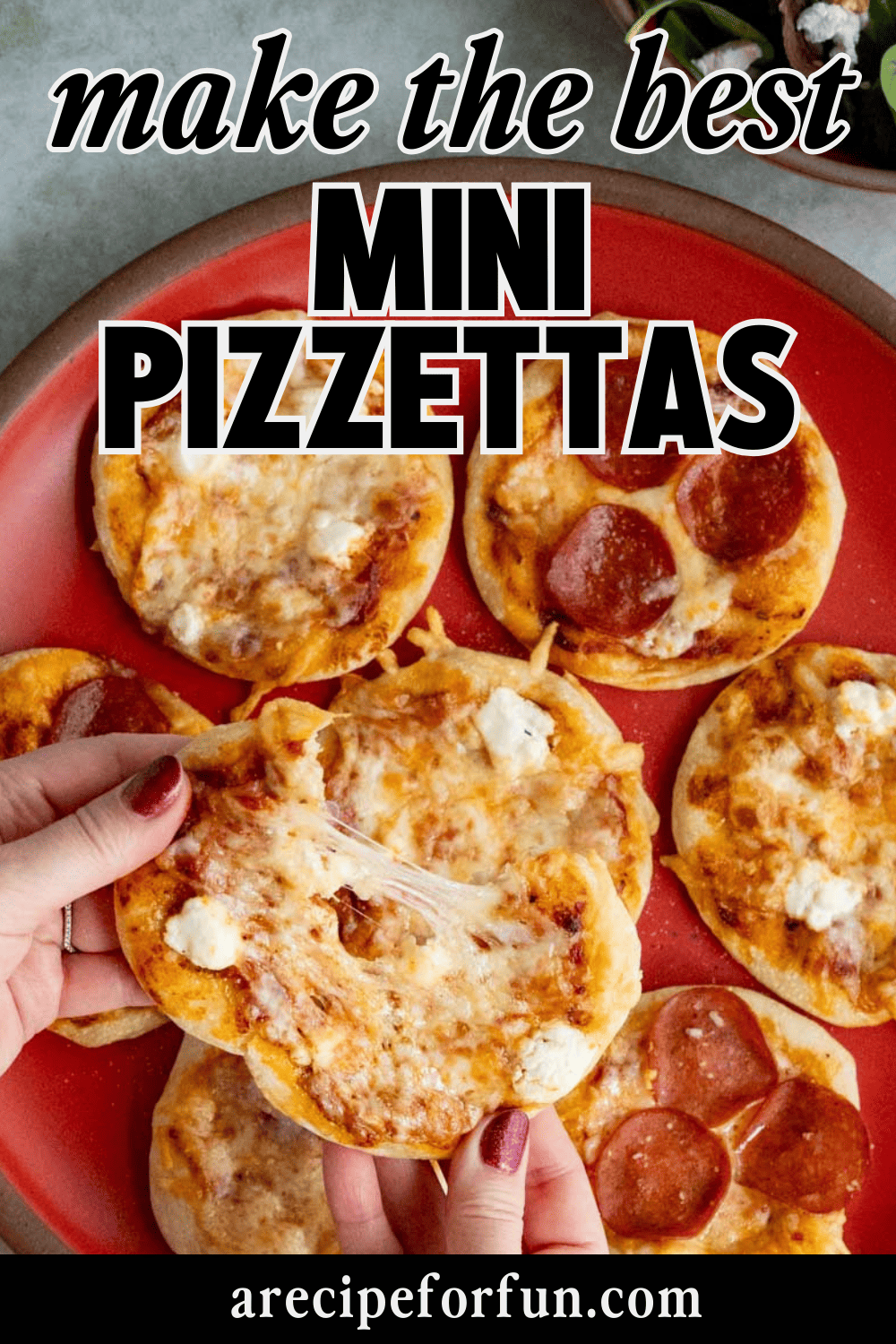 Mini Pizzetta (Italian Mini Pizza Recipe) - A Recipe For Fun