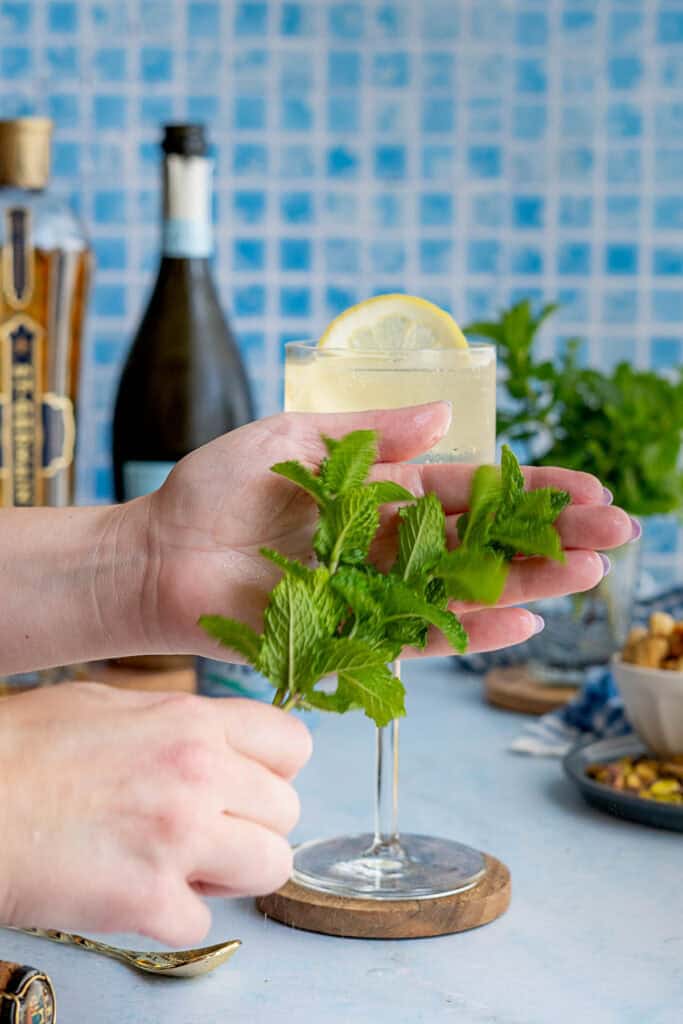 Classic Hugo Spritz Cocktail (Elderflower Spritz Cocktail)